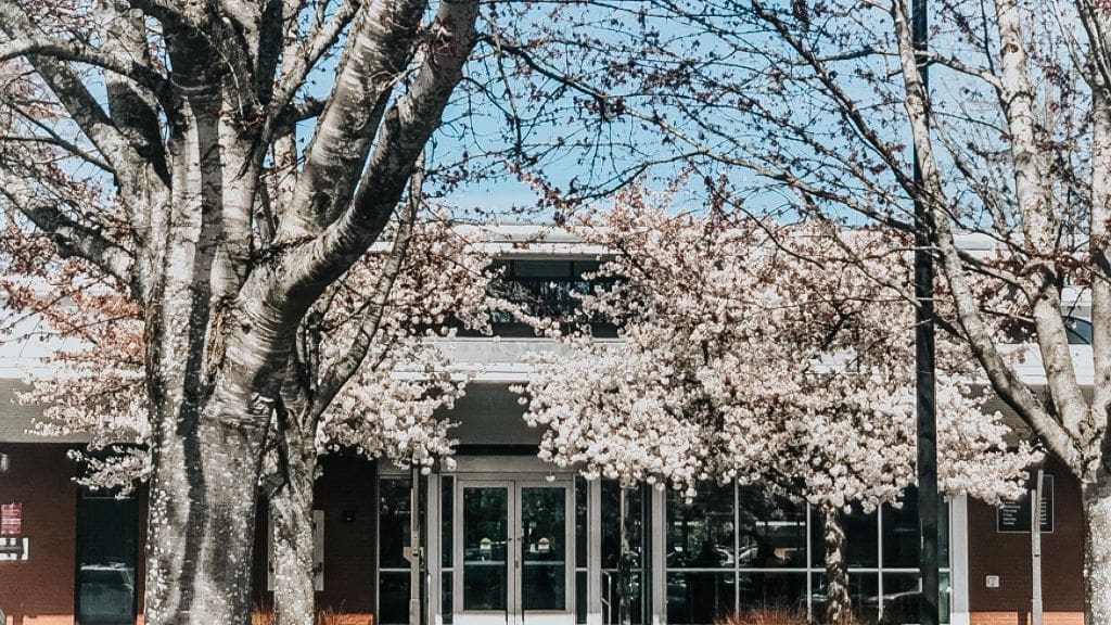 Open Hours Expand at Most Libraries, Starting in May | King County ...